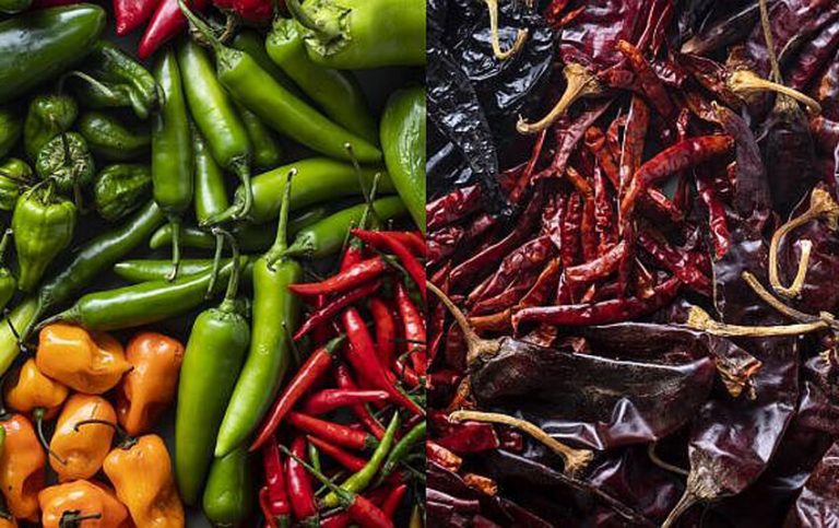 Mexican Chile Peppers are More Than Just a Spicy Crop! - Casa Bay Villas